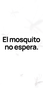 El 10 TV | Televisión Salteña